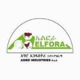 Elfora Agro Industries PLC Job Vacancy 2025 - New Latest Free Ethiojobs